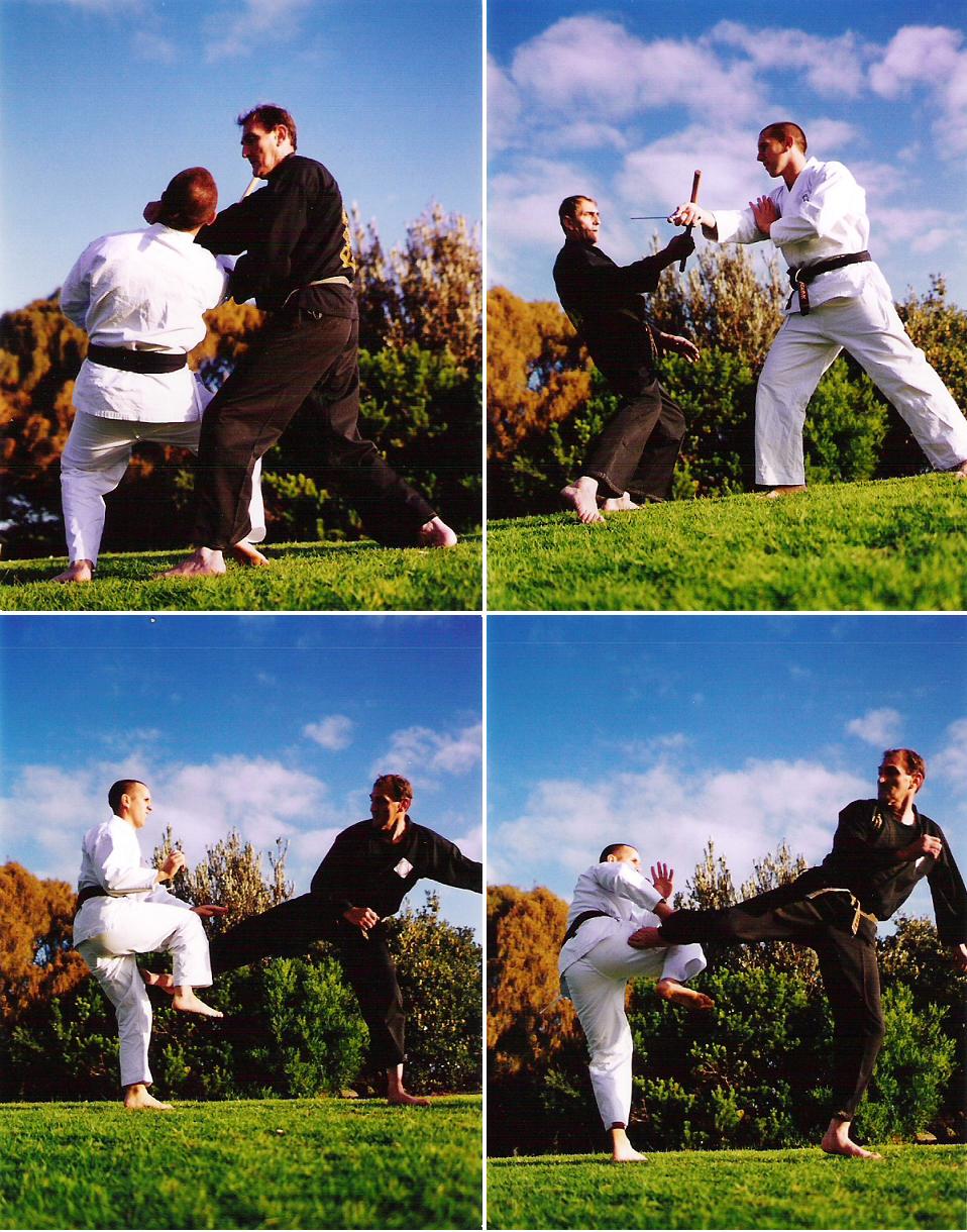 TaeKyon Karate Home Page